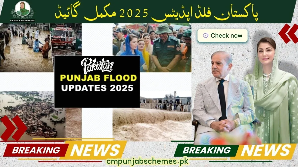 Pakistan Floods 2025: Latest Updates & Death Toll Rising