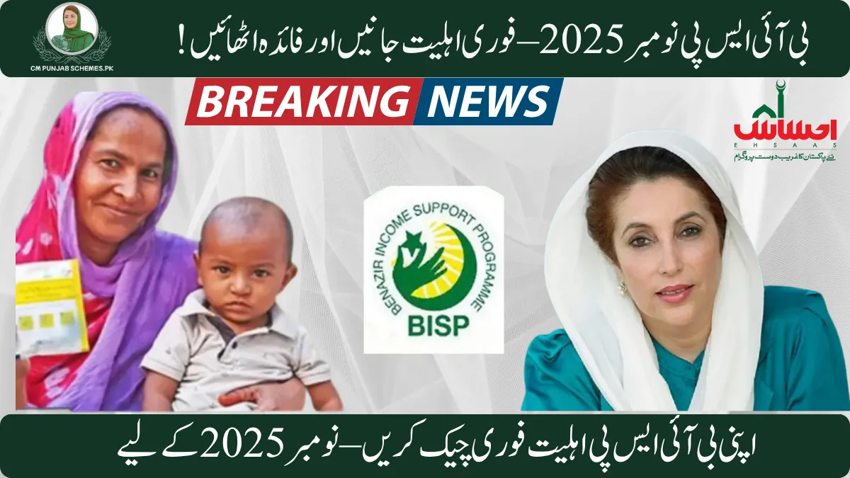 BISP Eligibility November 2025 – Check Quickly & Easily